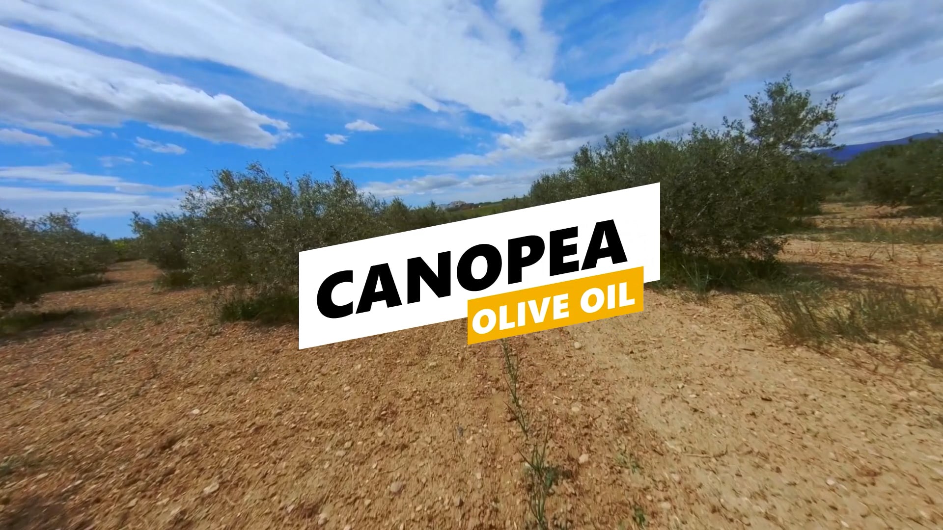La Canopea - 2021 on Vimeo