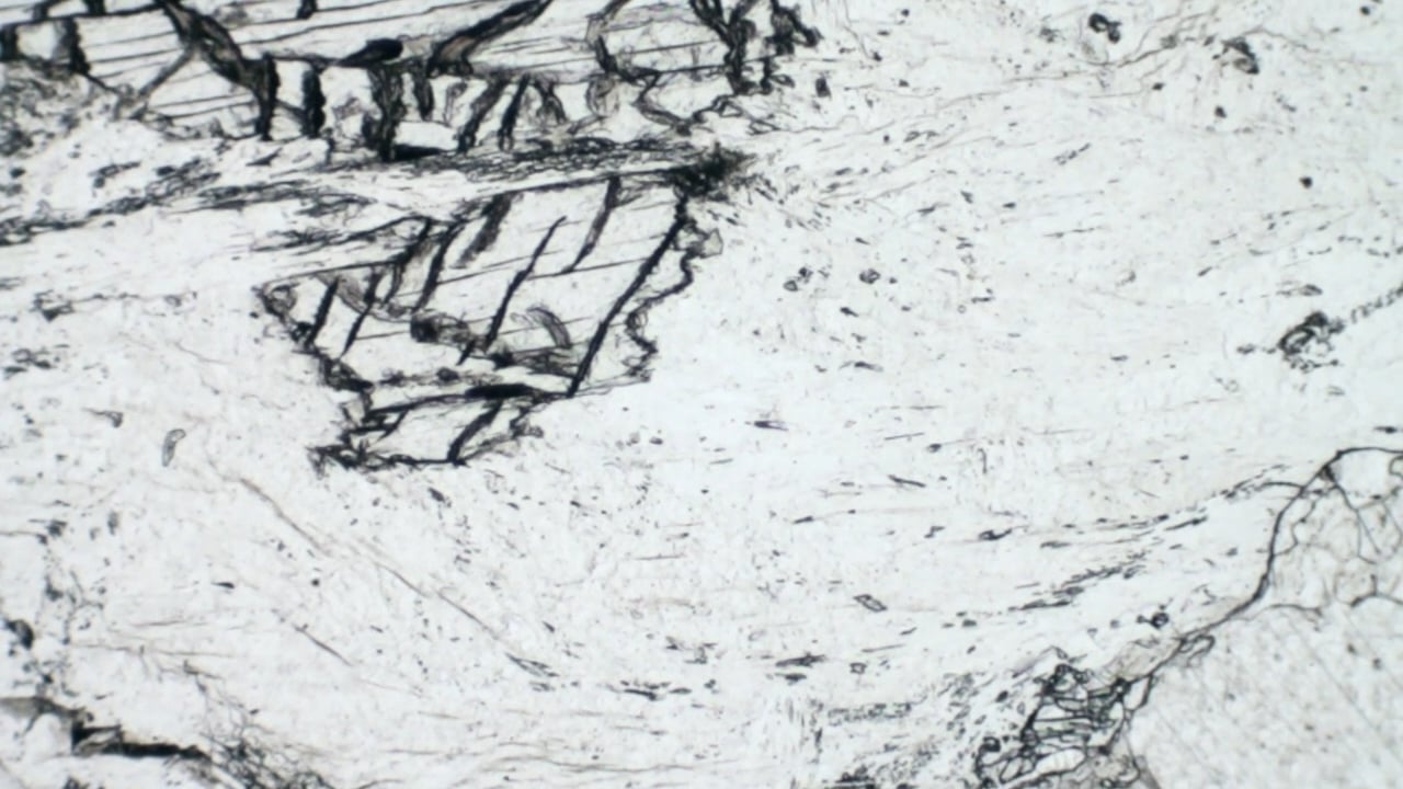 tremolite in thin section FKM-366 PPL on Vimeo