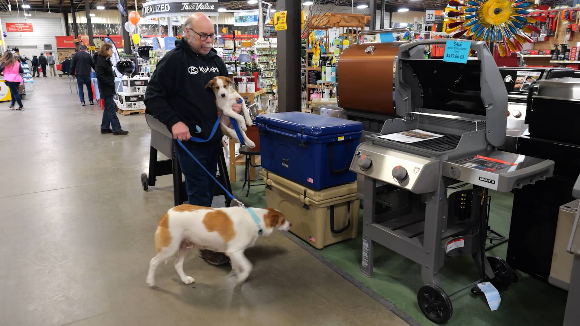 McFarlanes - Bonham Ad2 for Web v3 on Vimeo