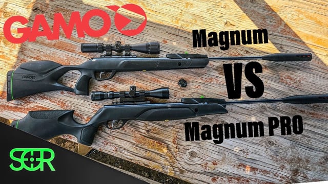 NEW Gamo Magnum PRO .22 VS Gamo Magnum .22 - Airgun101