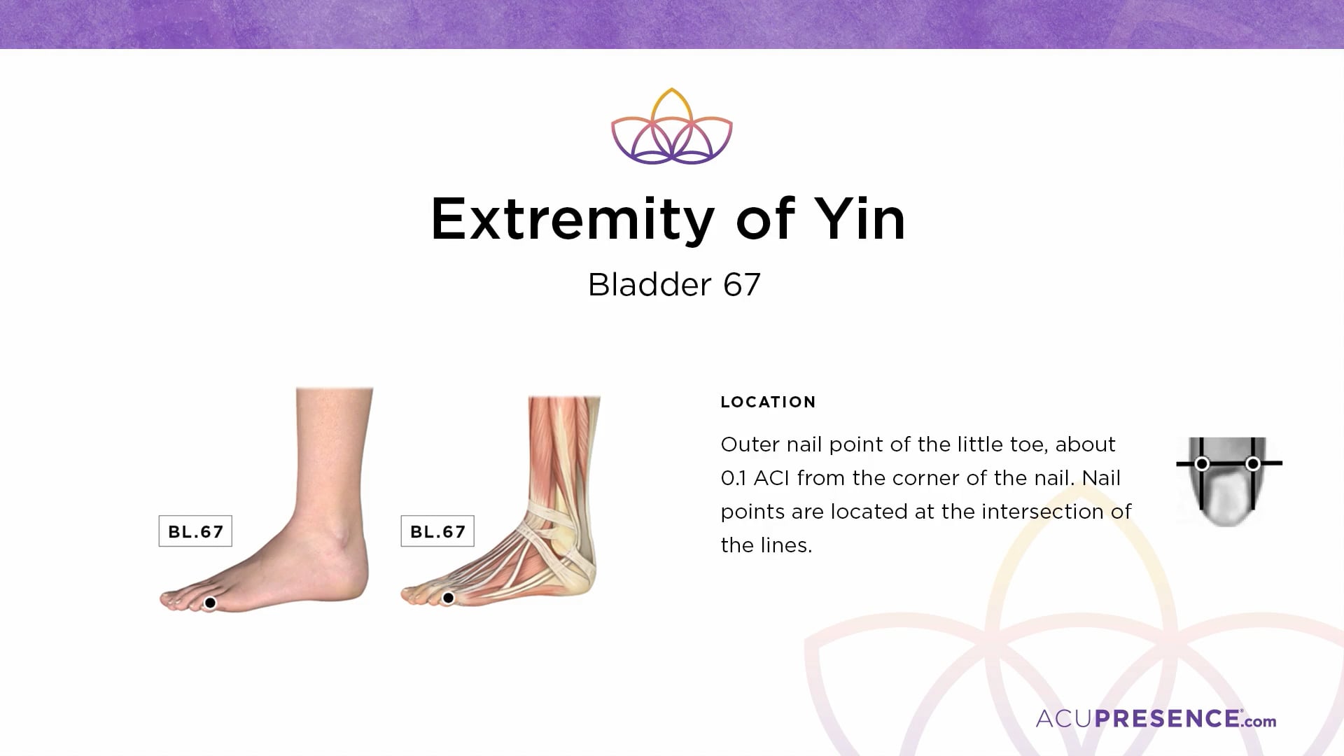 Bladder 67 Extremity of Yin Attunement on Vimeo
