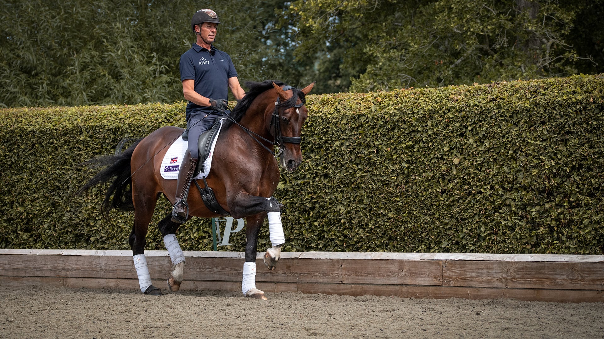 Carl Hester’s Most and Least Favourite Movement | Ridely