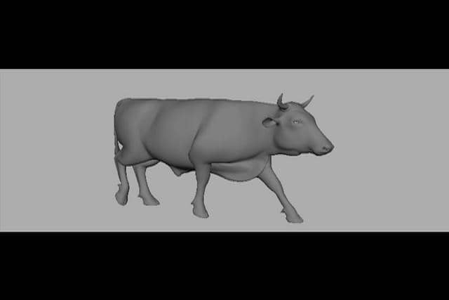 cow walk cycle looping on Vimeo