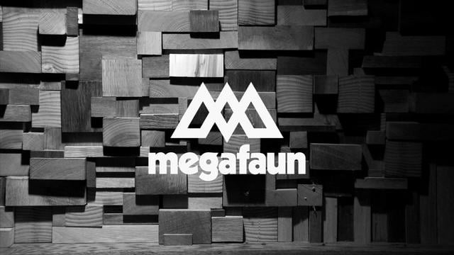 Megafaun - "Megafaun" (album teaser) on Vimeo