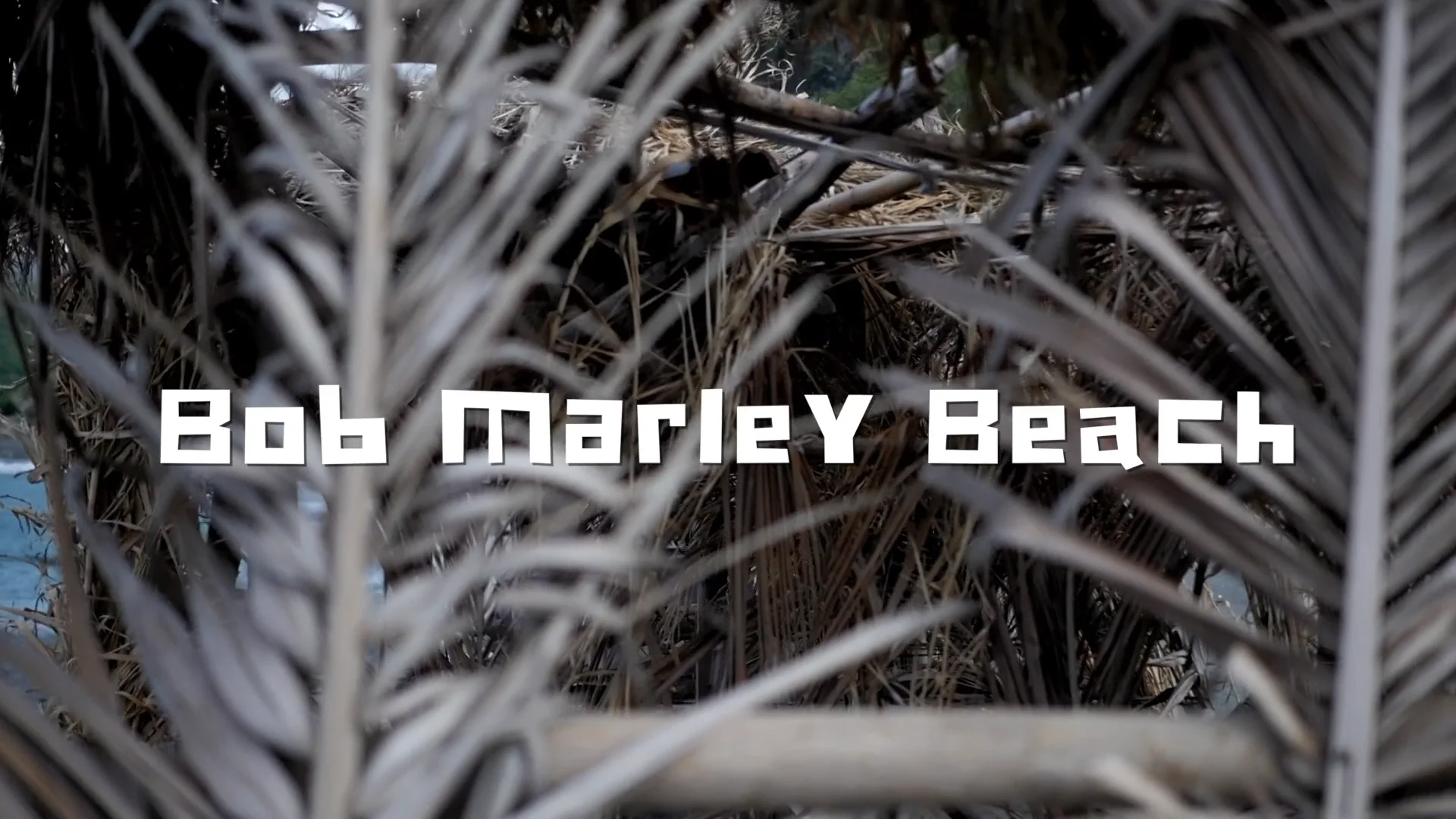 Bob Marley Beach Documentary Pt. 1