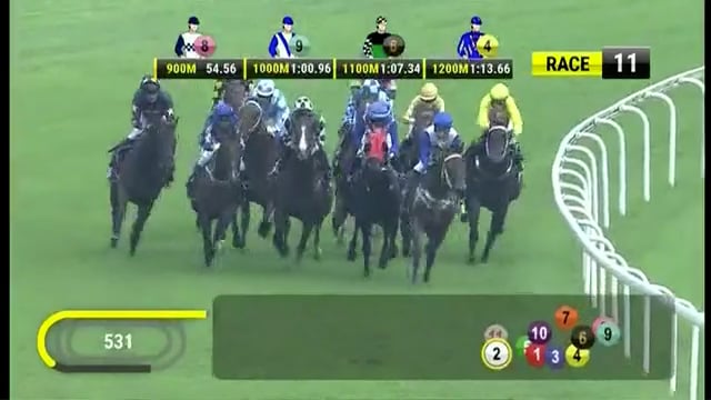 Star Turn - Stallion | Breednet