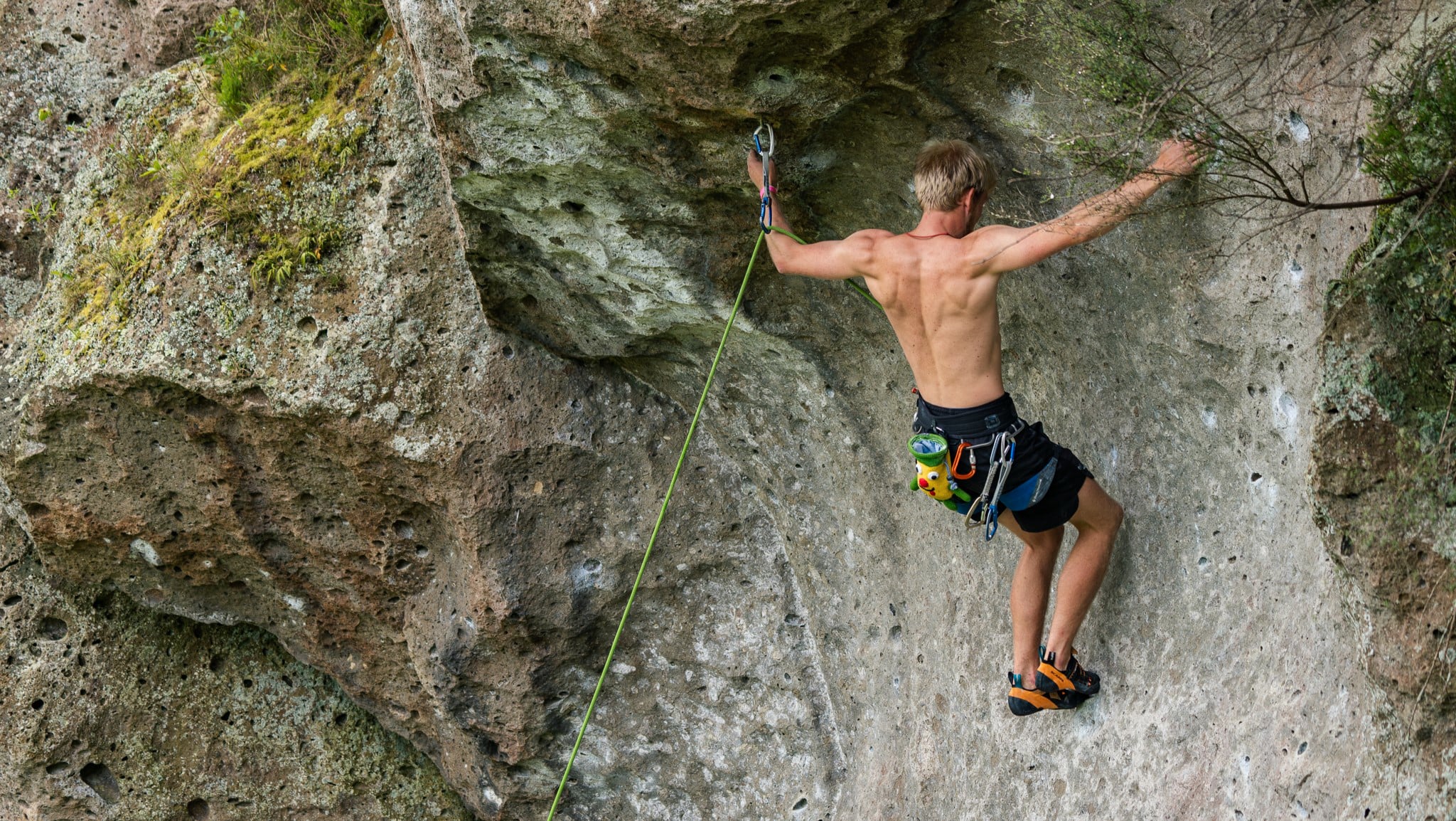 Waipari Climbing Festival on Vimeo