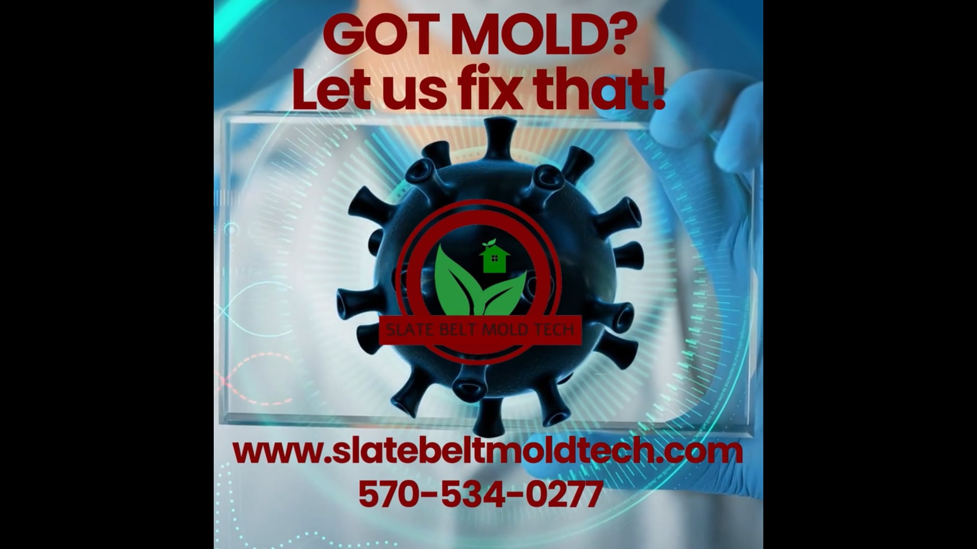 Slate Belt Mold Tech - Mold Remediation, Mold Inspection and Testing ...