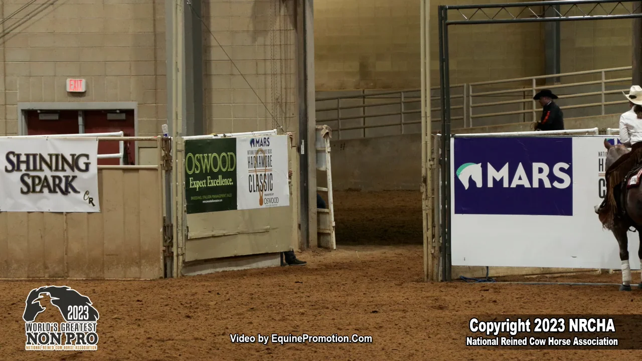 HESA WEE BET shown by DEBBIE CRAFTON - 2023 NRCHA Hackamore Classic ...