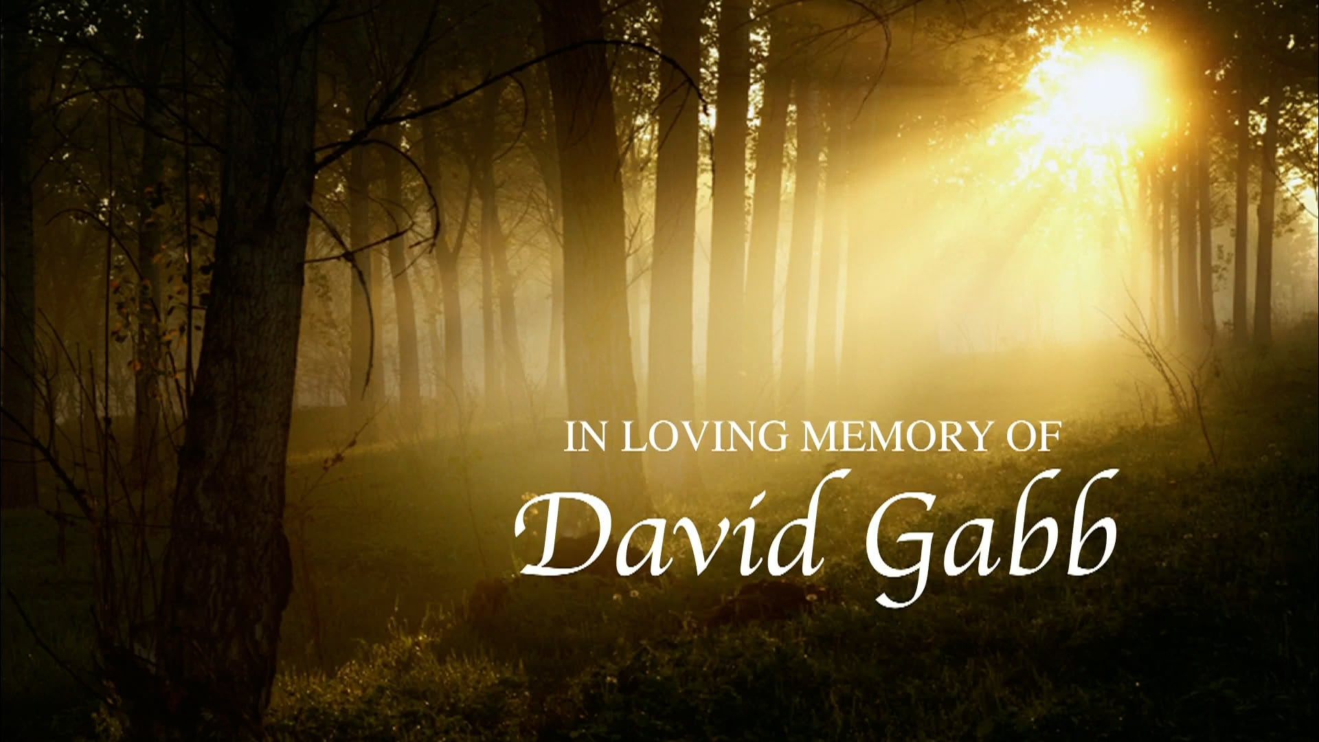 David Gabb 26.7.23 on Vimeo