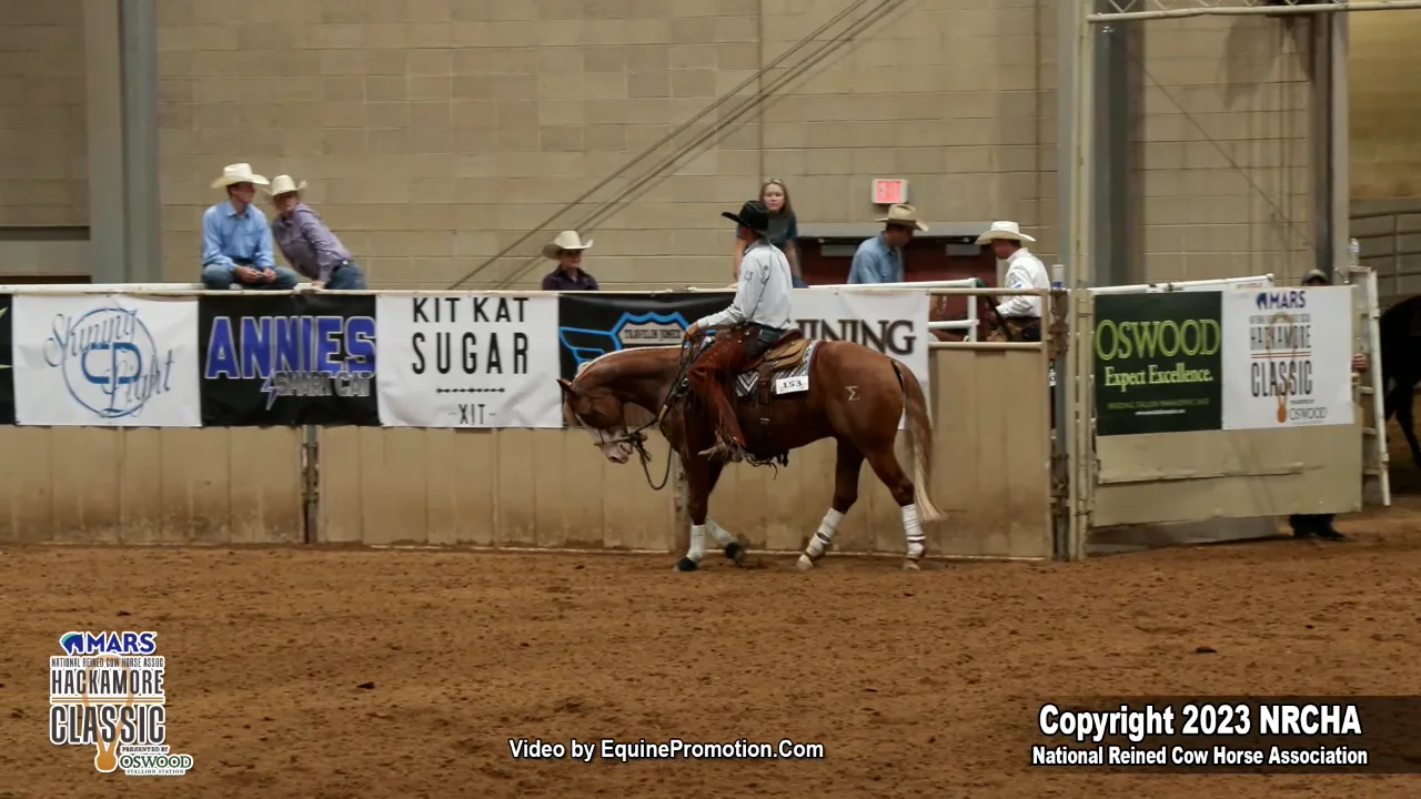 CR DAINTY N TUFF shown by LEE DEACON - 2023 NRCHA Hackamore Classic ...
