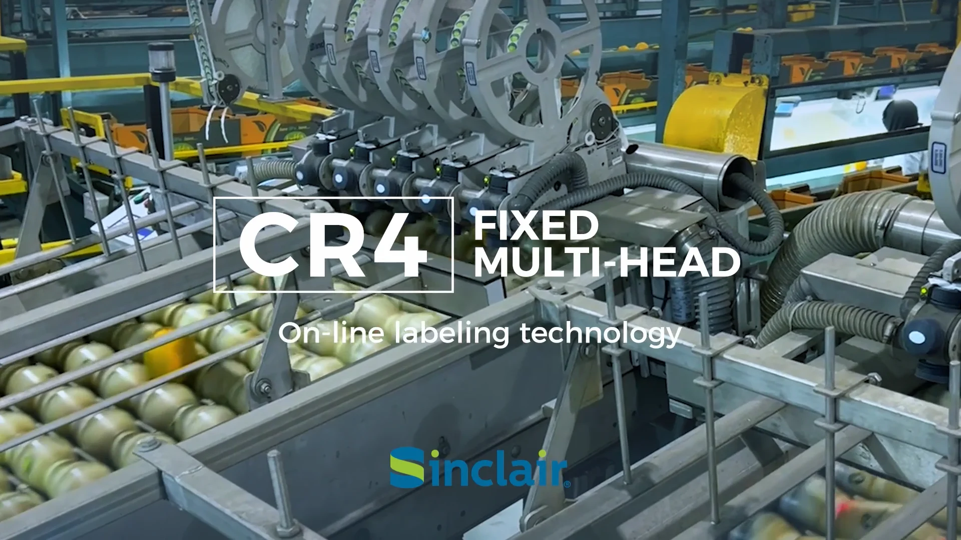 On-Line Labeling Solution for narrow singulated fruit: Sinclair CR4 FMH ...