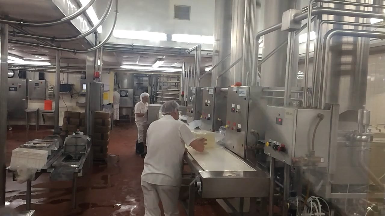 Plant Based Innovations