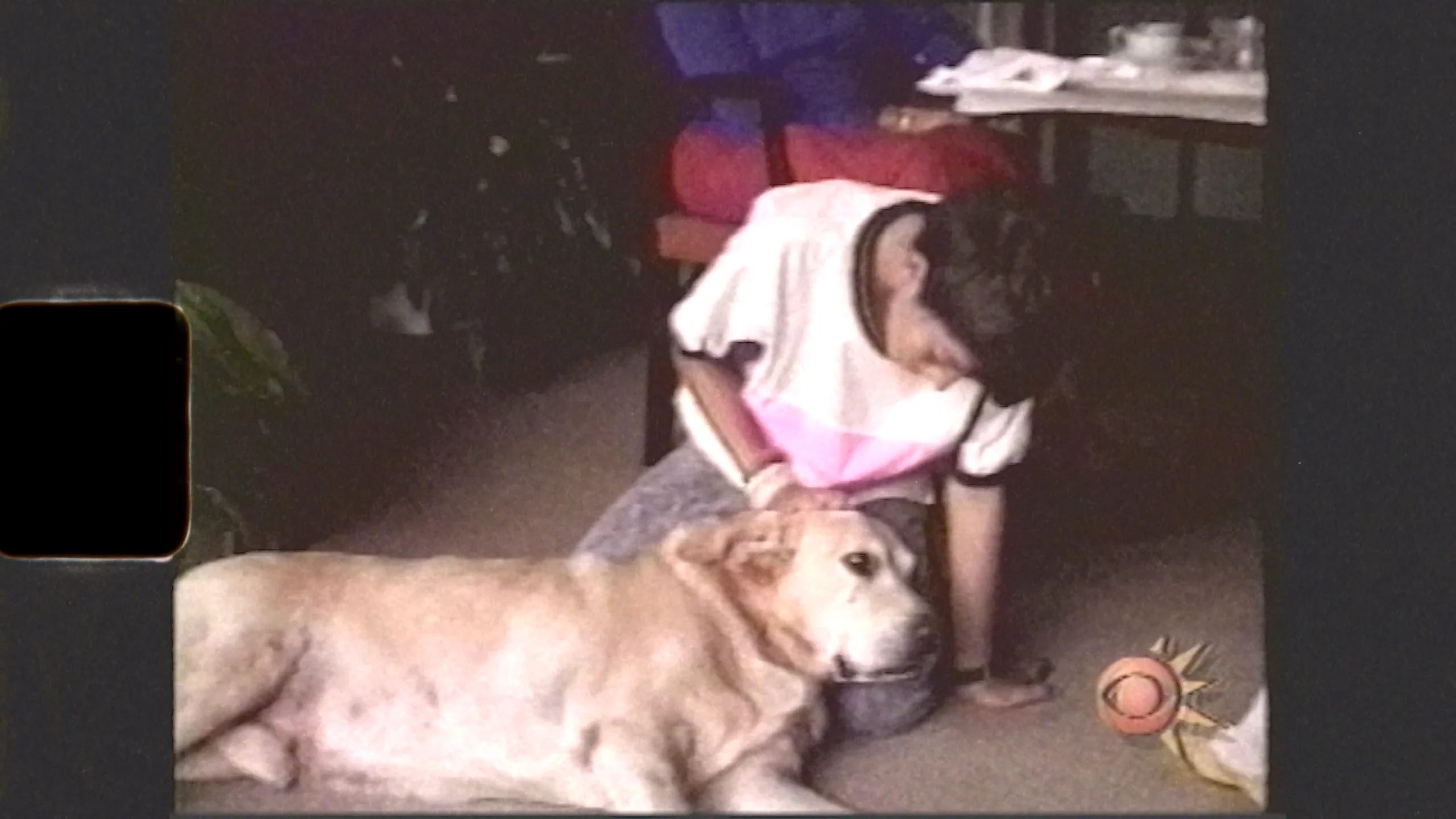 Max Warburg Courage Curriculum on Vimeo