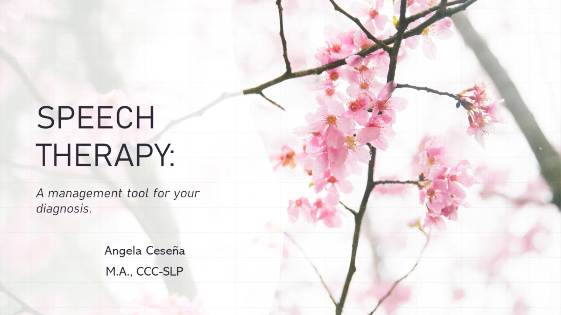 Lunch & Learn 7-26-23 Angela Cesena on Vimeo