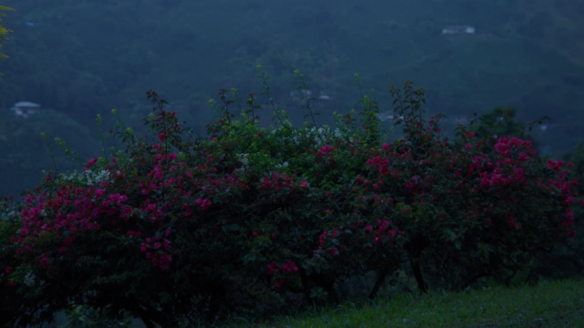aribada (1080p) on Vimeo