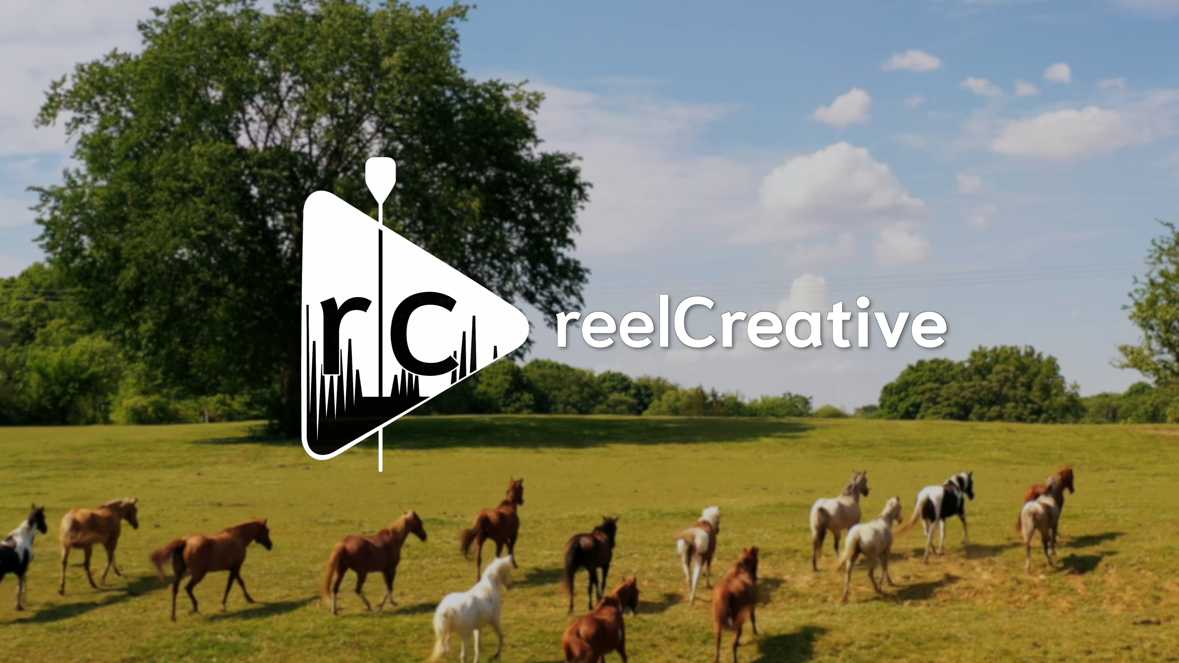 reelCreative Launch Video on Vimeo
