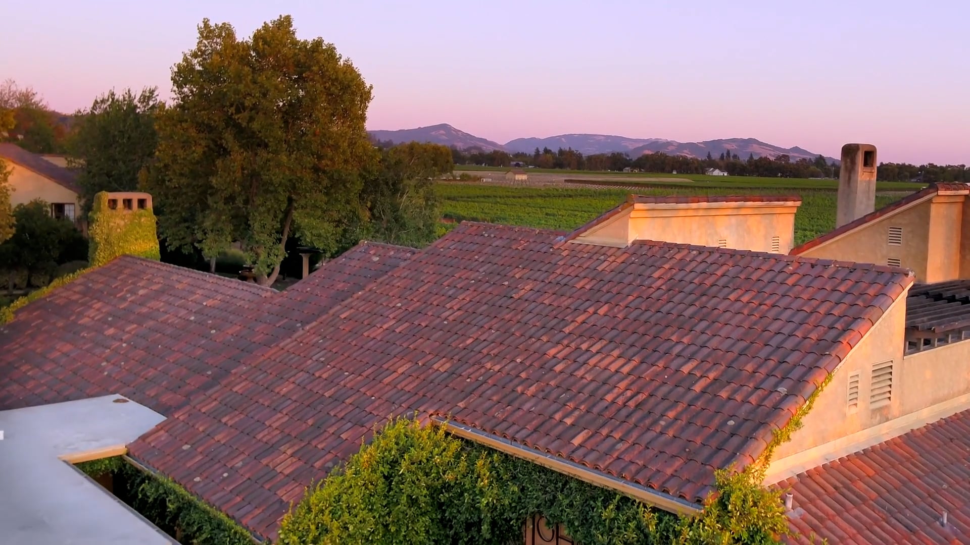 John Ash & Co. on Vimeo