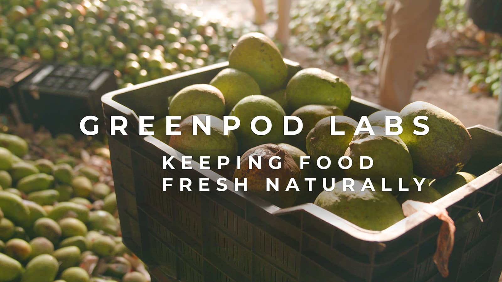 Greenpod Labs on Vimeo