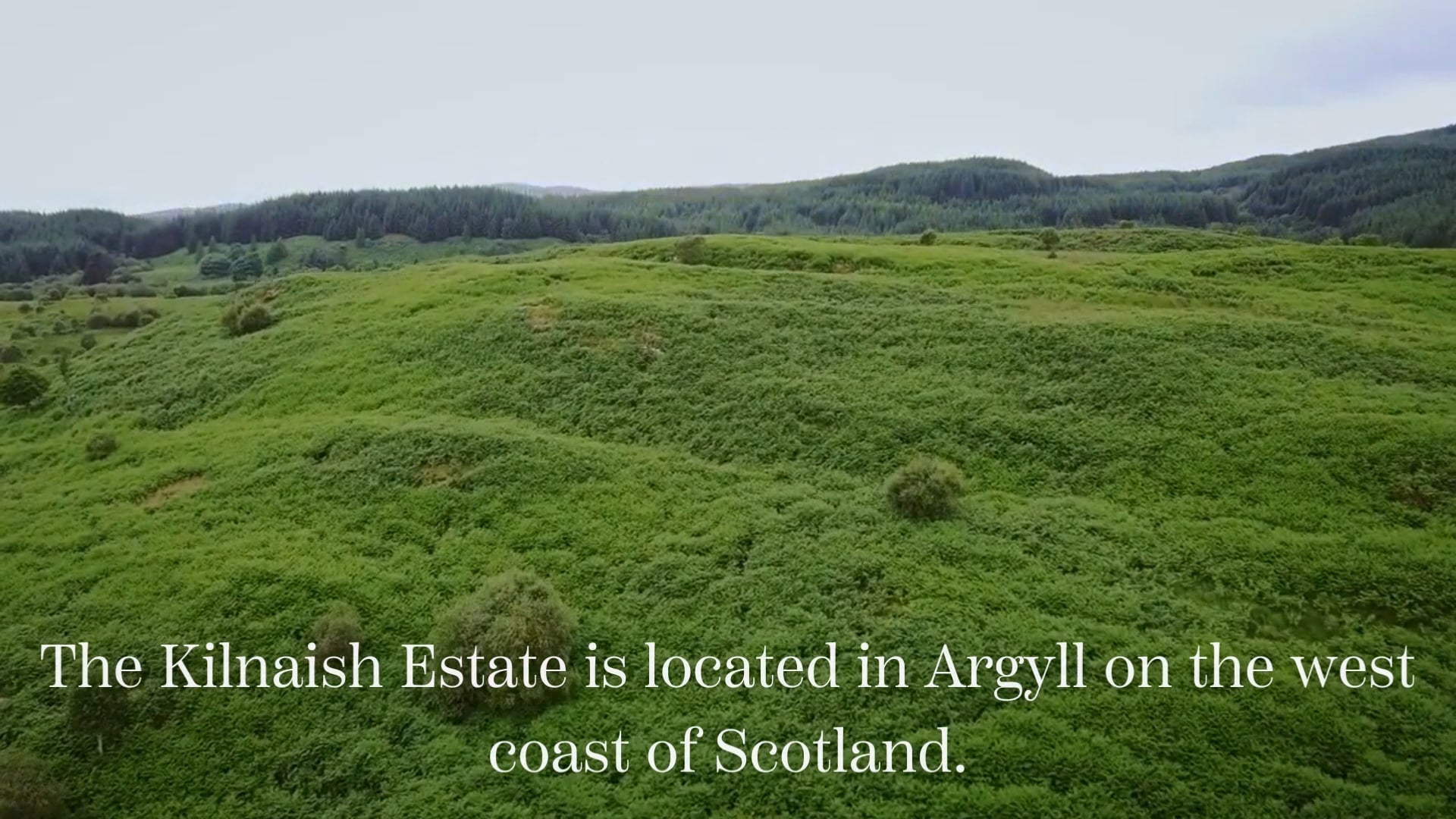 Highland Titles | Become a Laird, Lord or Lady of the Glen
