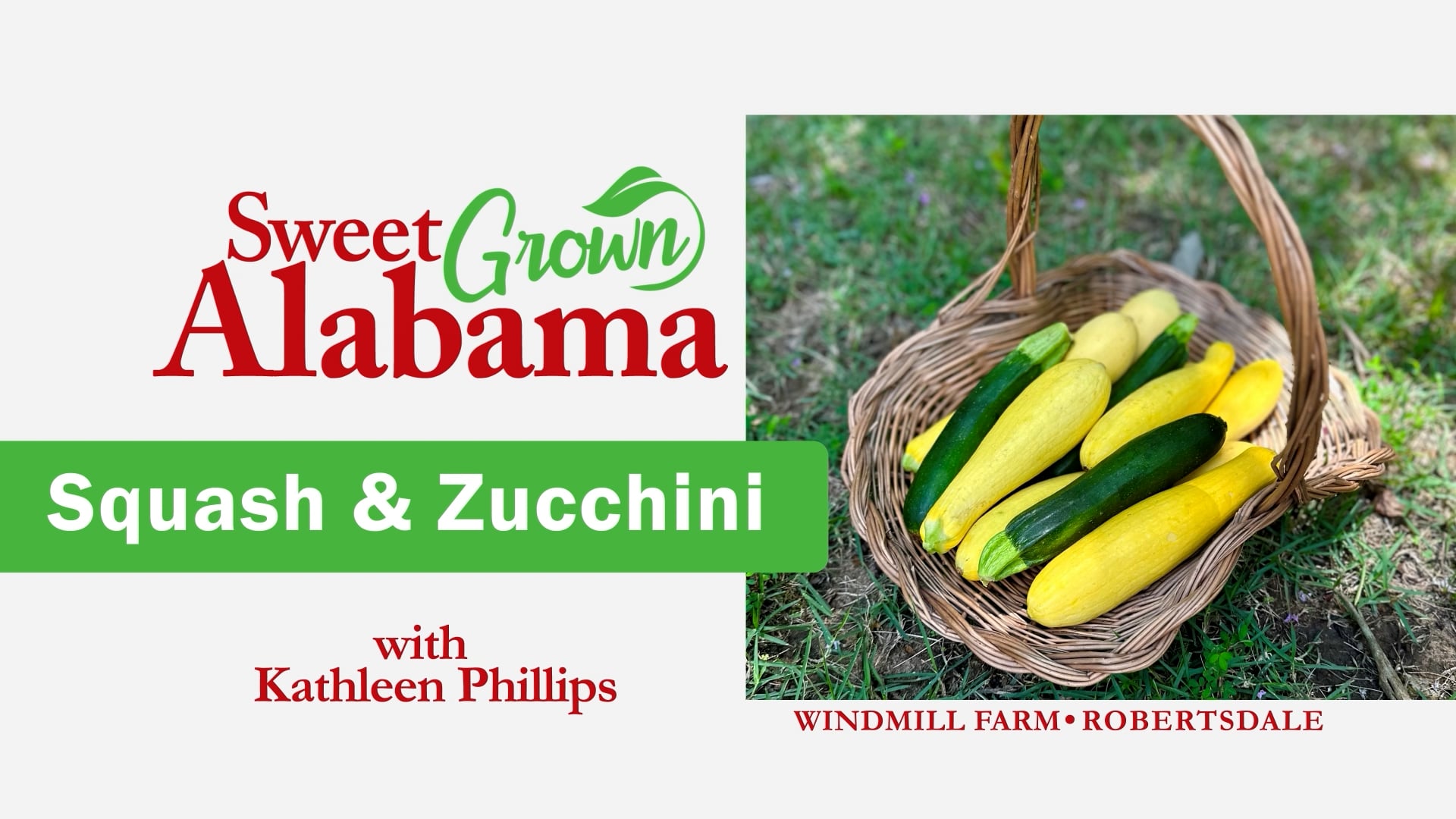 Sweet Grown Alabama Squash on Vimeo