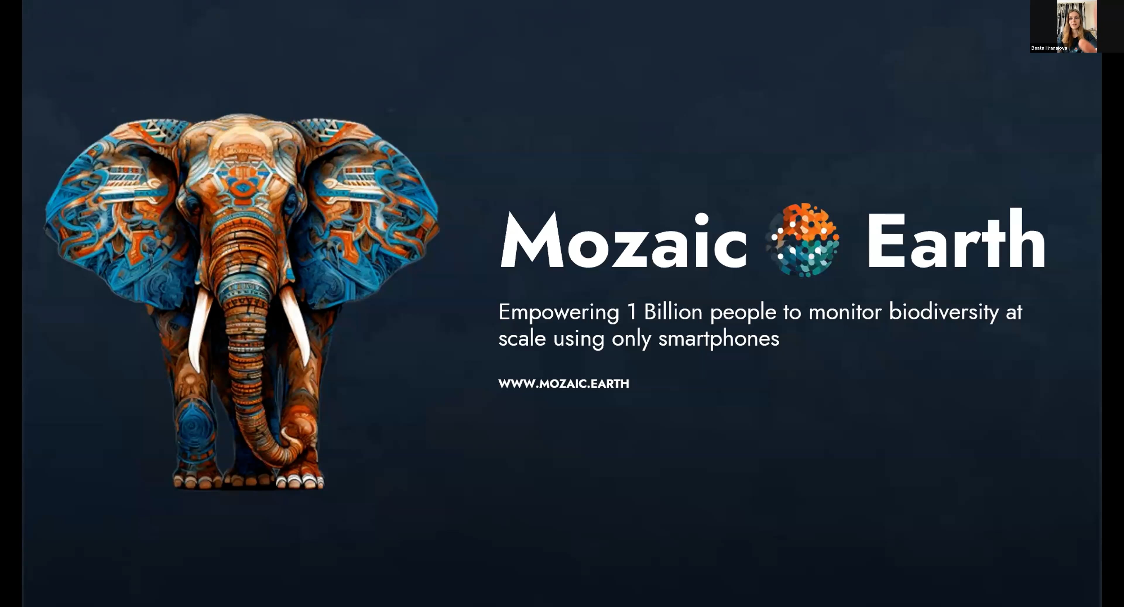 Mozaic Earth Pitch on Vimeo