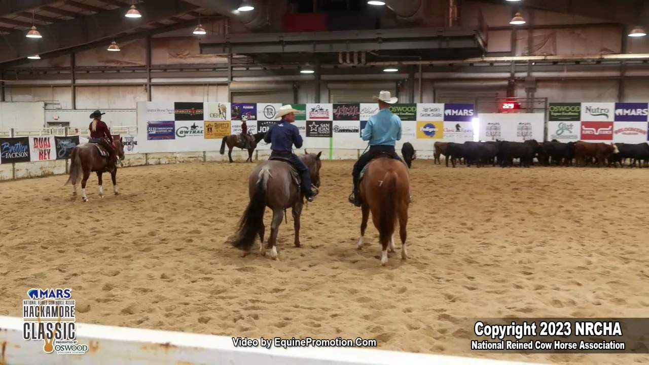 HOTNREBELLIOUS shown by DEBBIE CRAFTON - 2023 NRCHA Hackamore Classic ...
