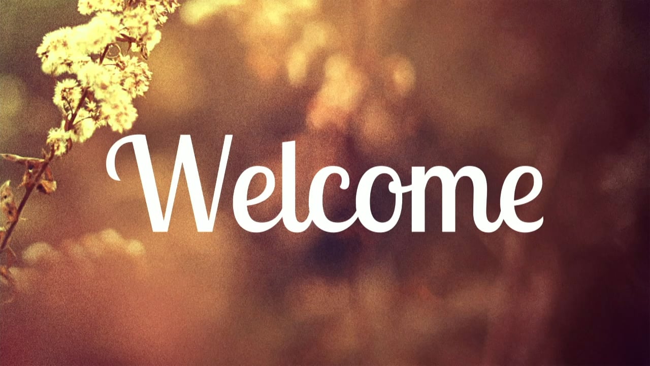 Widow's Brunch - Gail Mays