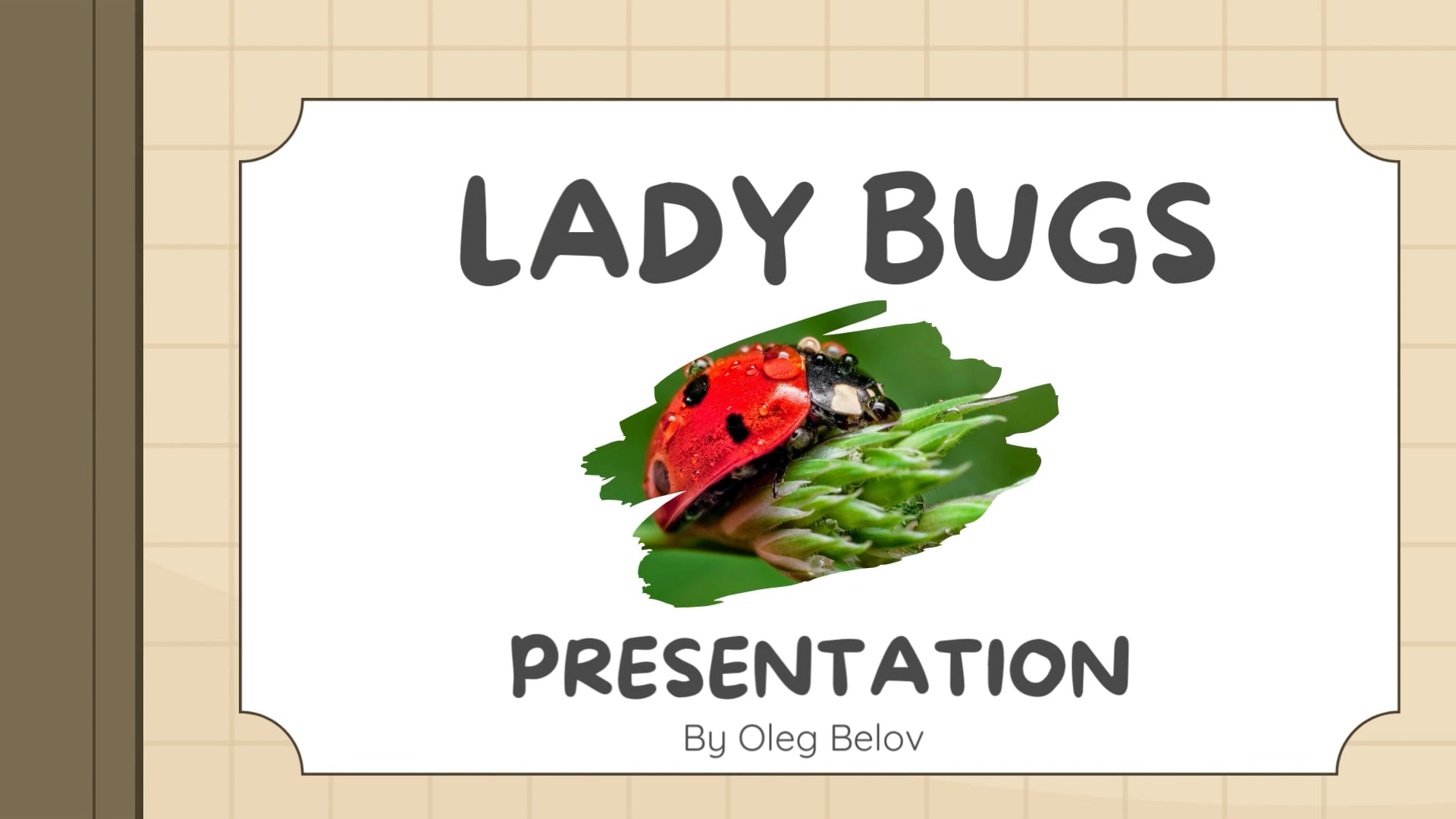 Ladybug Presentation on Vimeo