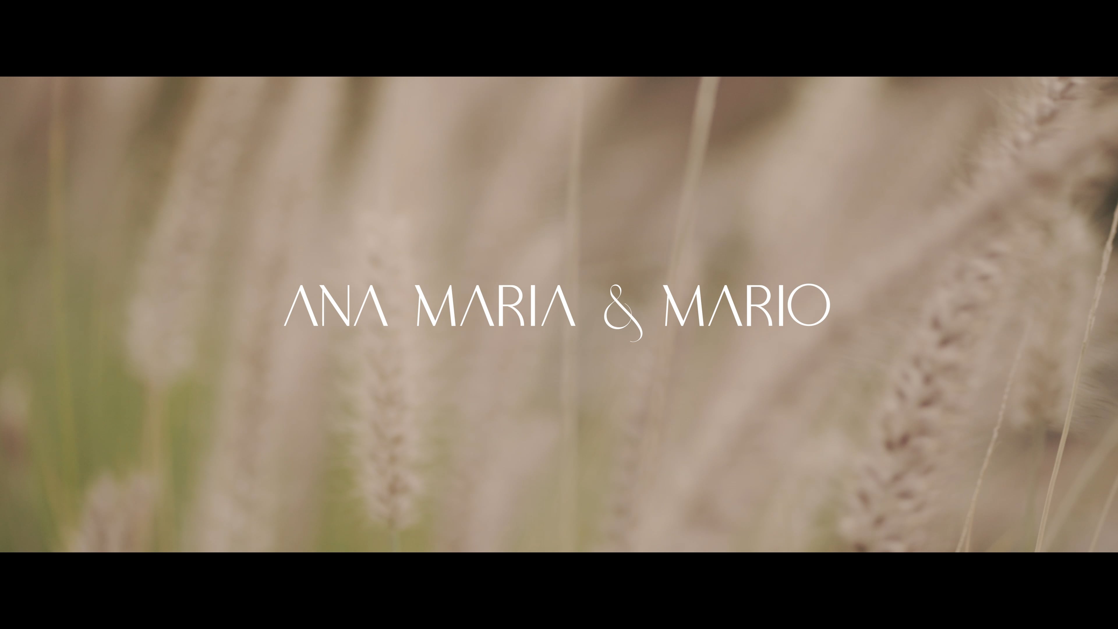 HIghlight Ana Maria & Mario on Vimeo