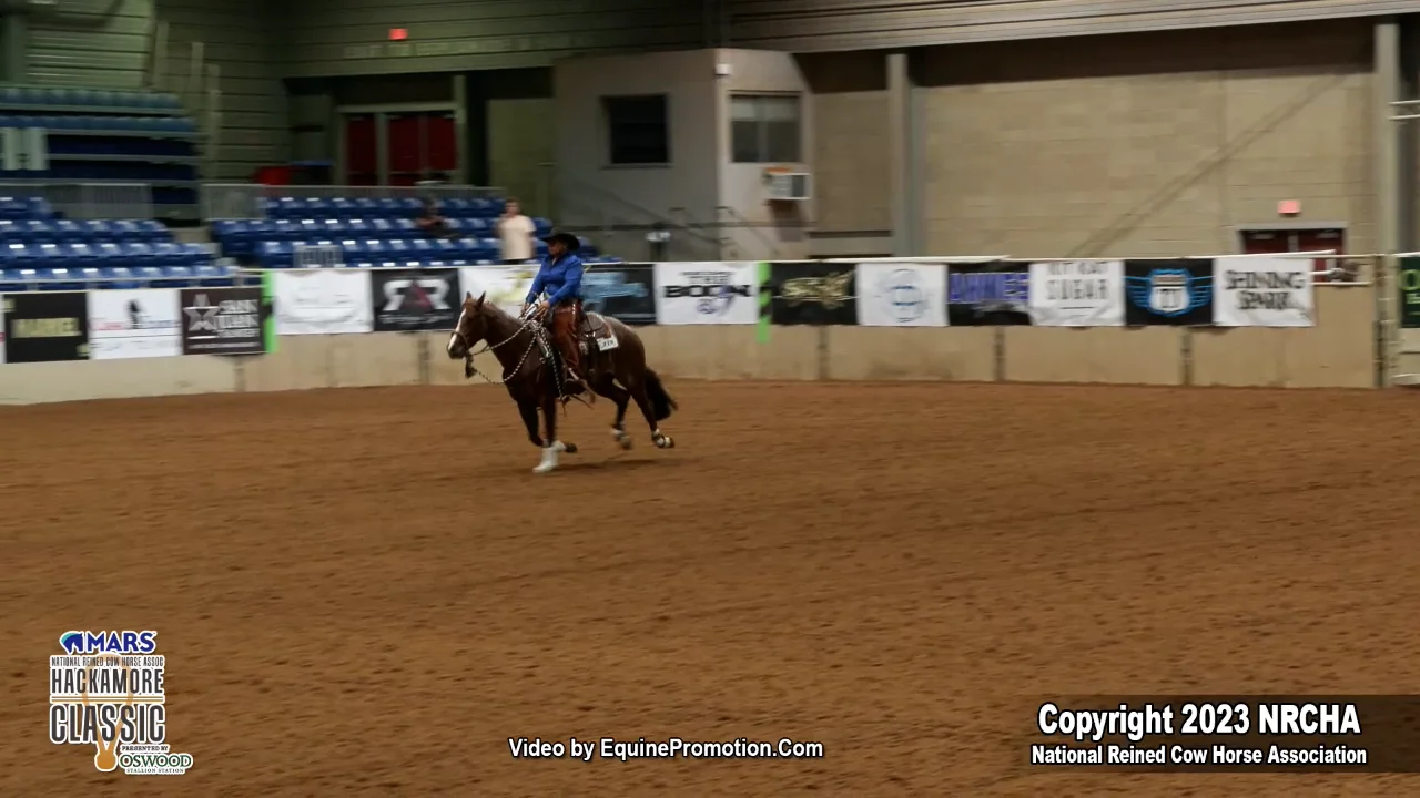 HOTNREBELLIOUS shown by DEBBIE CRAFTON - 2023 NRCHA Hackamore Classic ...