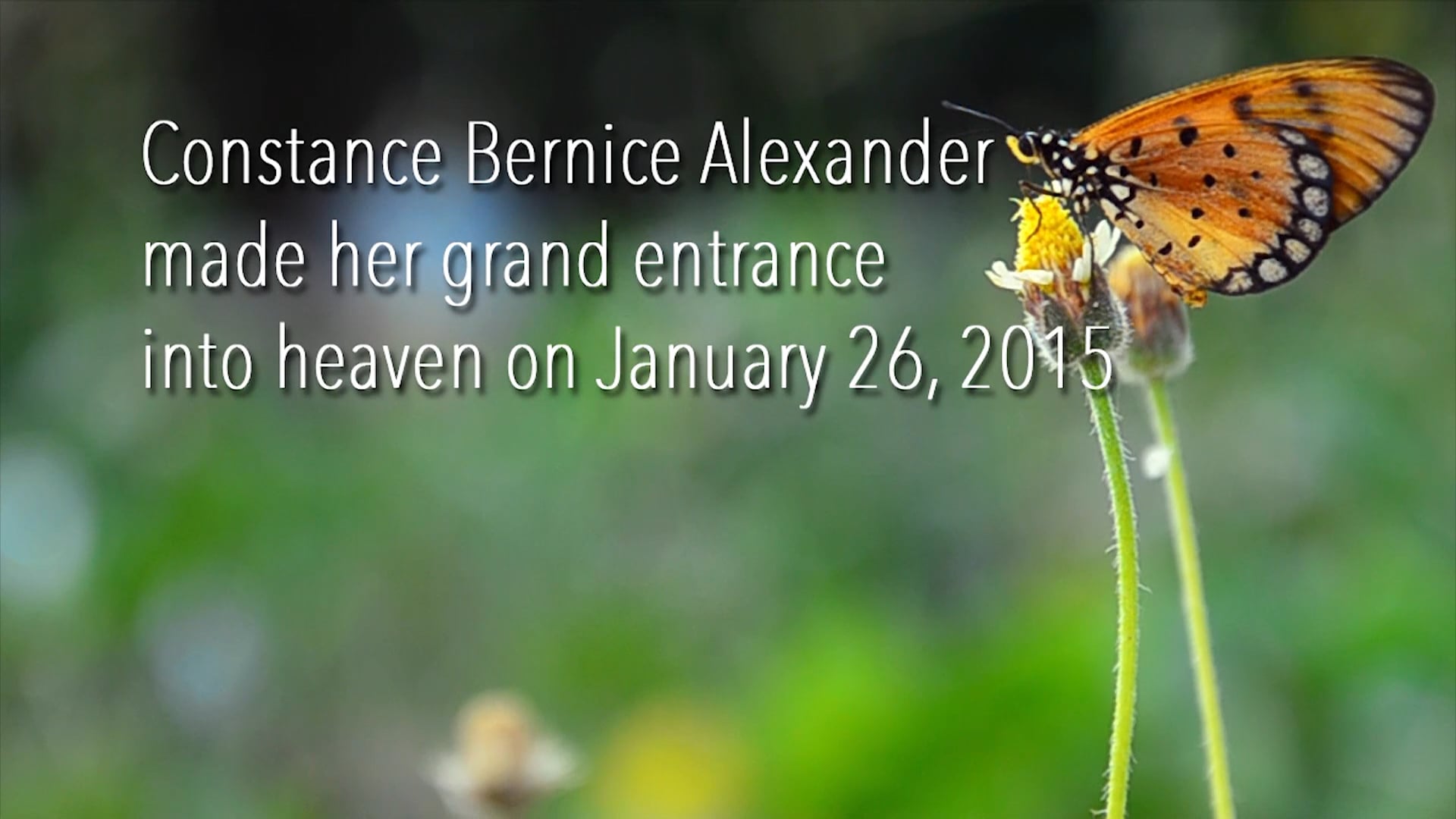 Connie Alexander on Vimeo