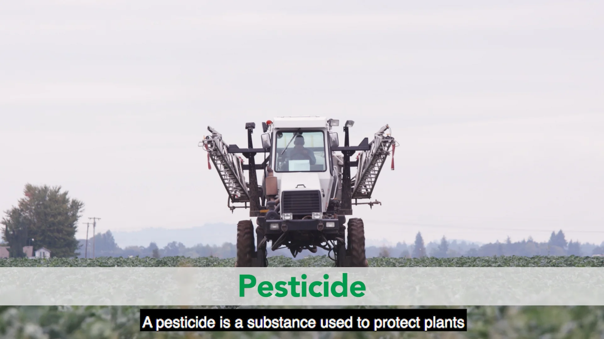 Discusses types of pesticides, types of formulation and how people are ...