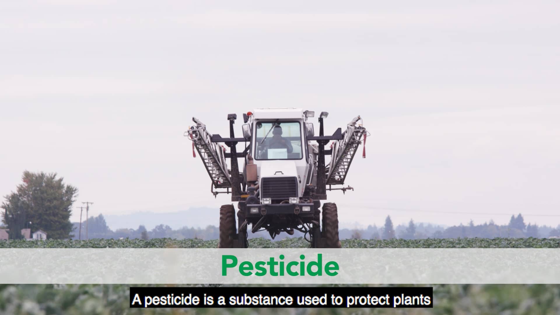 Discusses types of pesticides, types of formulation and how people are ...