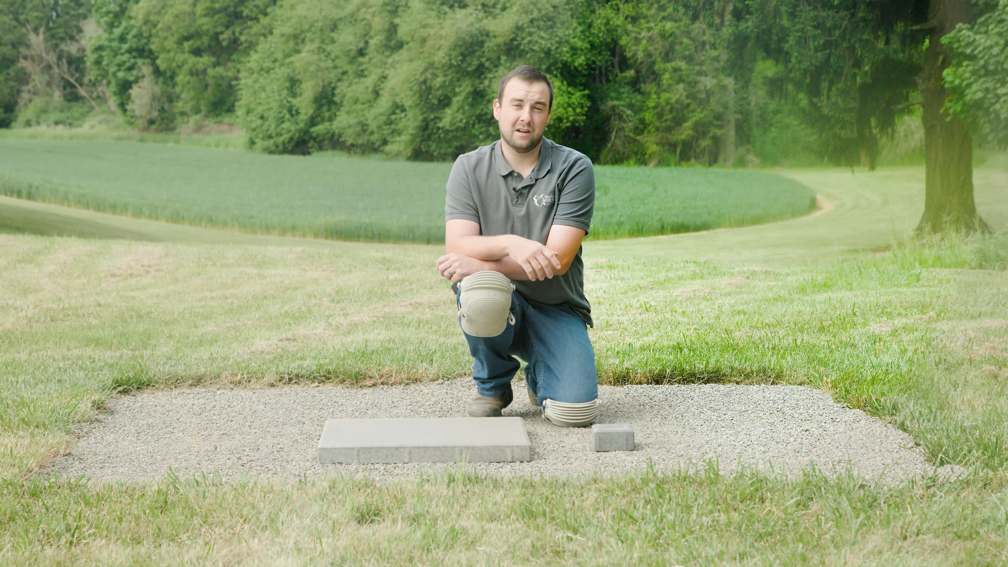 WI_How-To-Lay_V3 on Vimeo