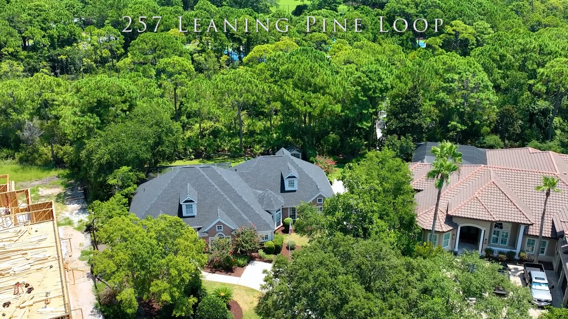 257 Leaning Pine Loop on Vimeo