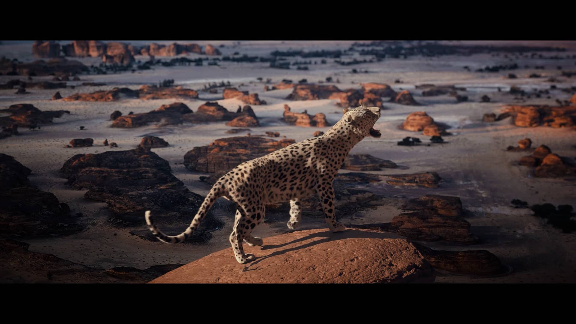 LAVERNE RIYADH on Vimeo