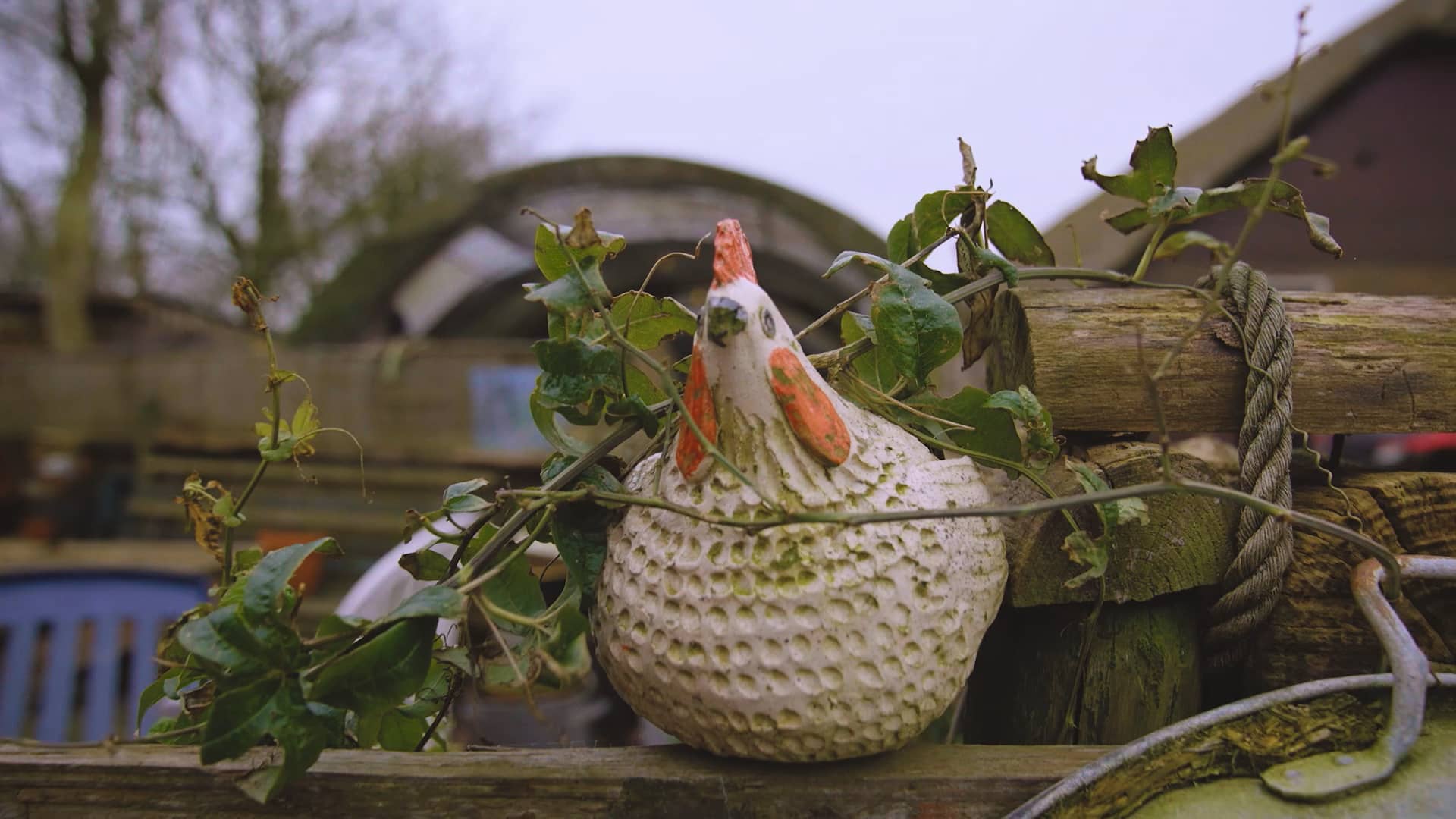 SODG - Region bumper TEXEL (Holland) on Vimeo