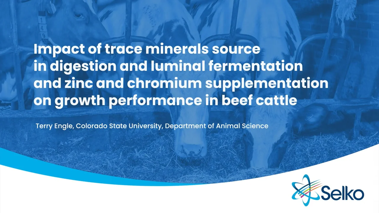 The impact of trace minerals on growth performance in beef cattle ...