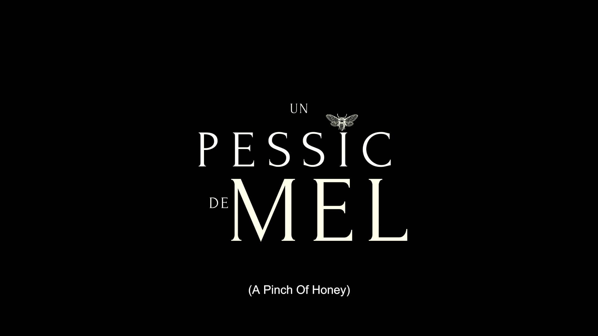Un pessic de mel (2022) de Laura castelo - Acadèmia Cinema Català on Vimeo