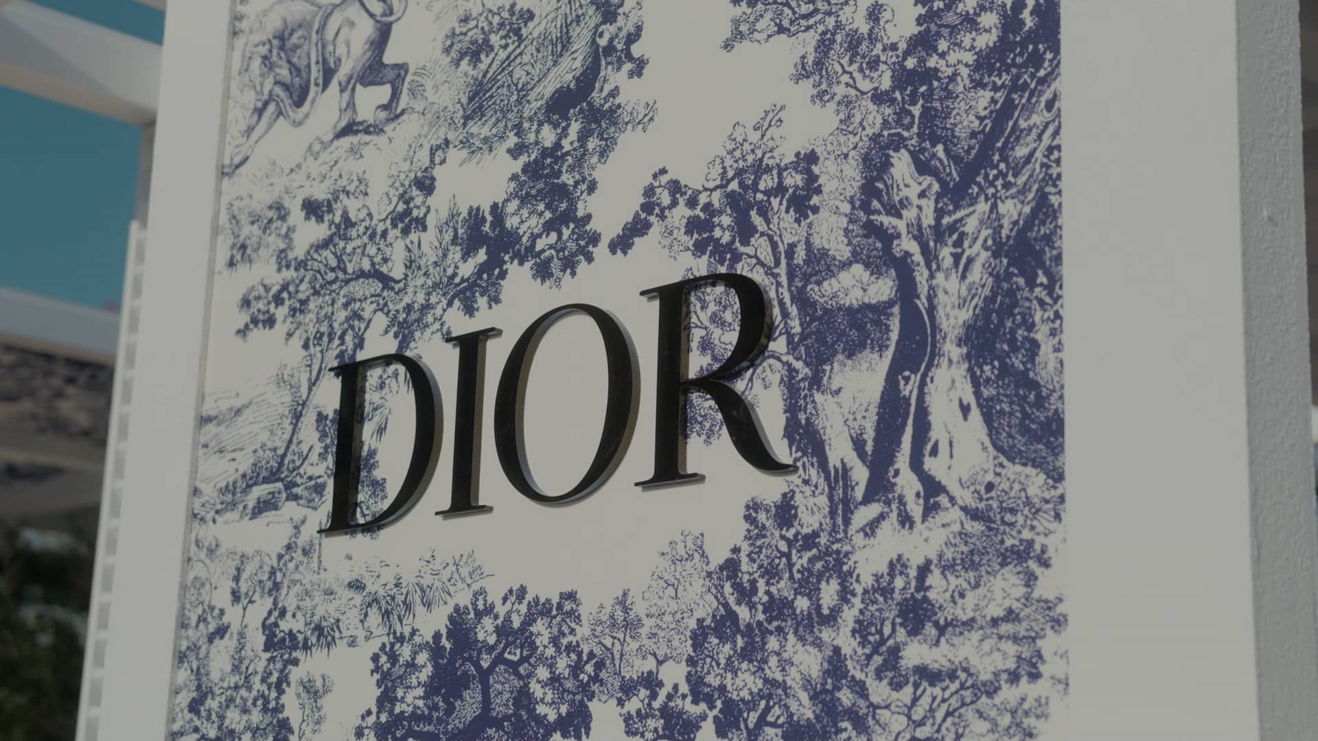 Promo DIOR IG FULL on Vimeo