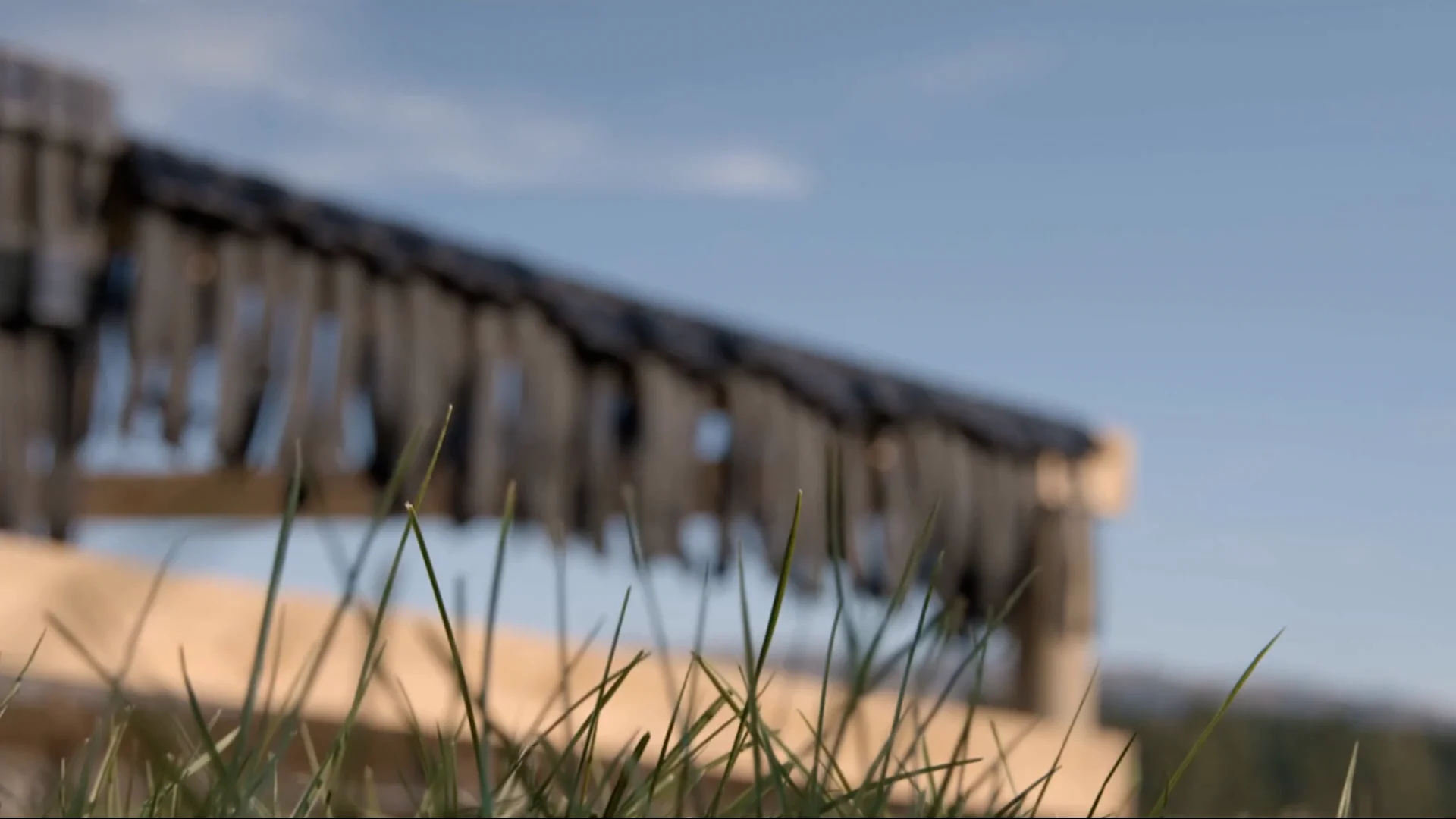 Halter - Craigmore Farm Competitors on Vimeo