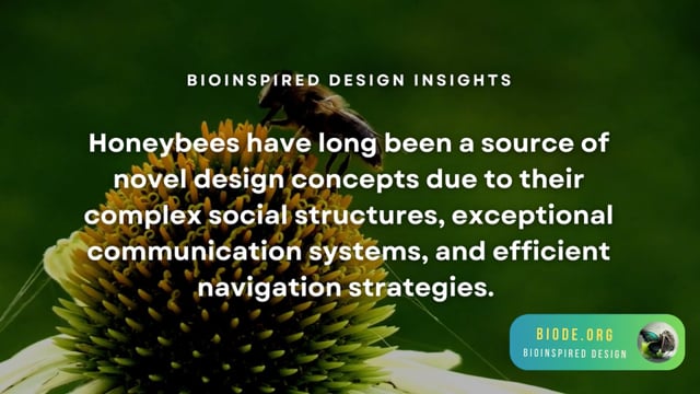 Bioinspired Design Insights on Vimeo