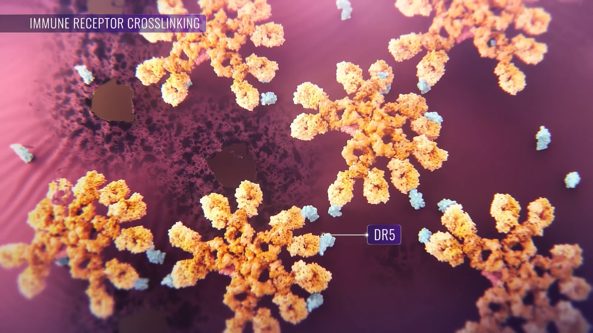 Aplitabart - the potential of multimeric binding on Vimeo