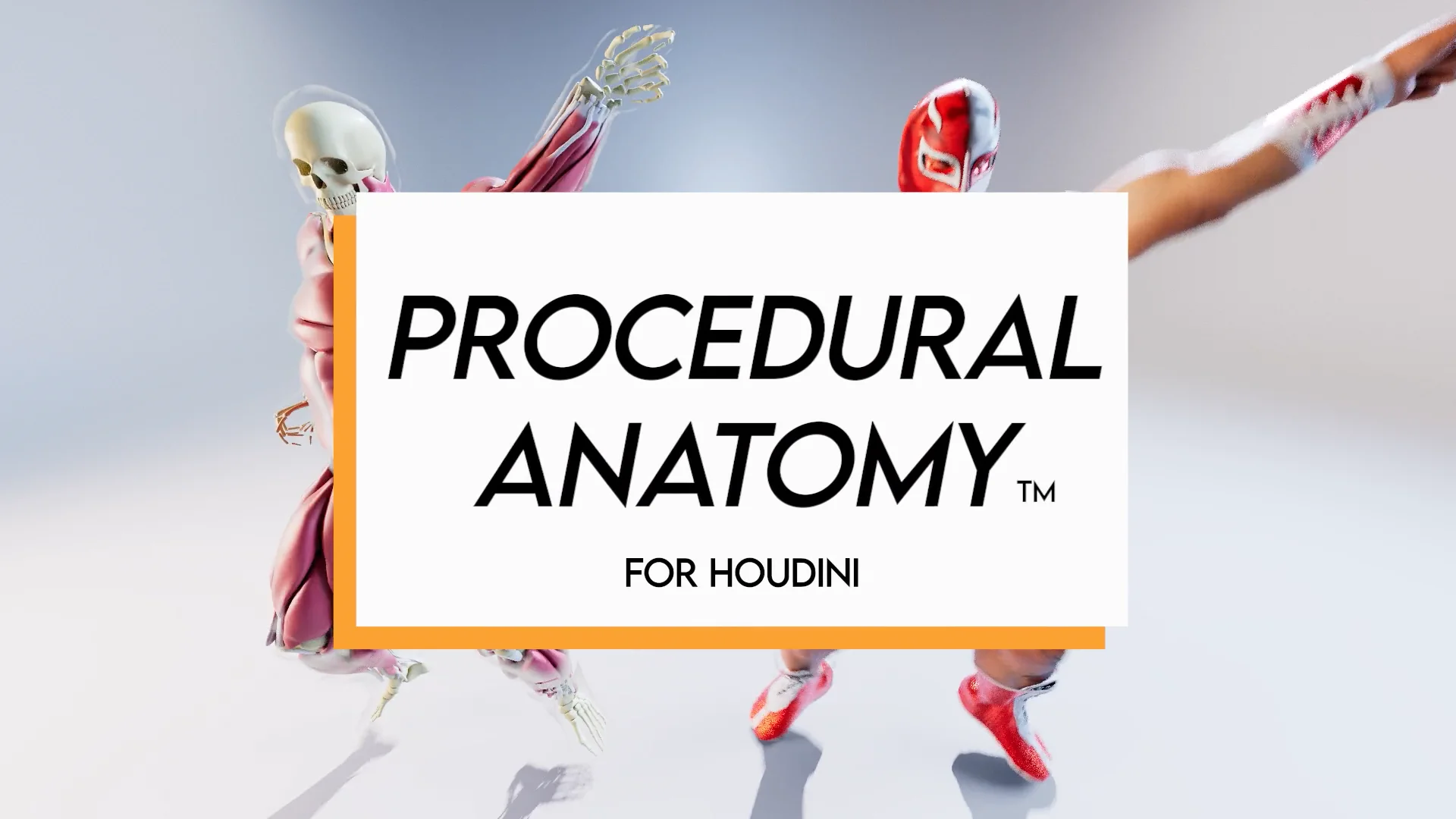 Procedural Anatomy - Reveal on Vimeo