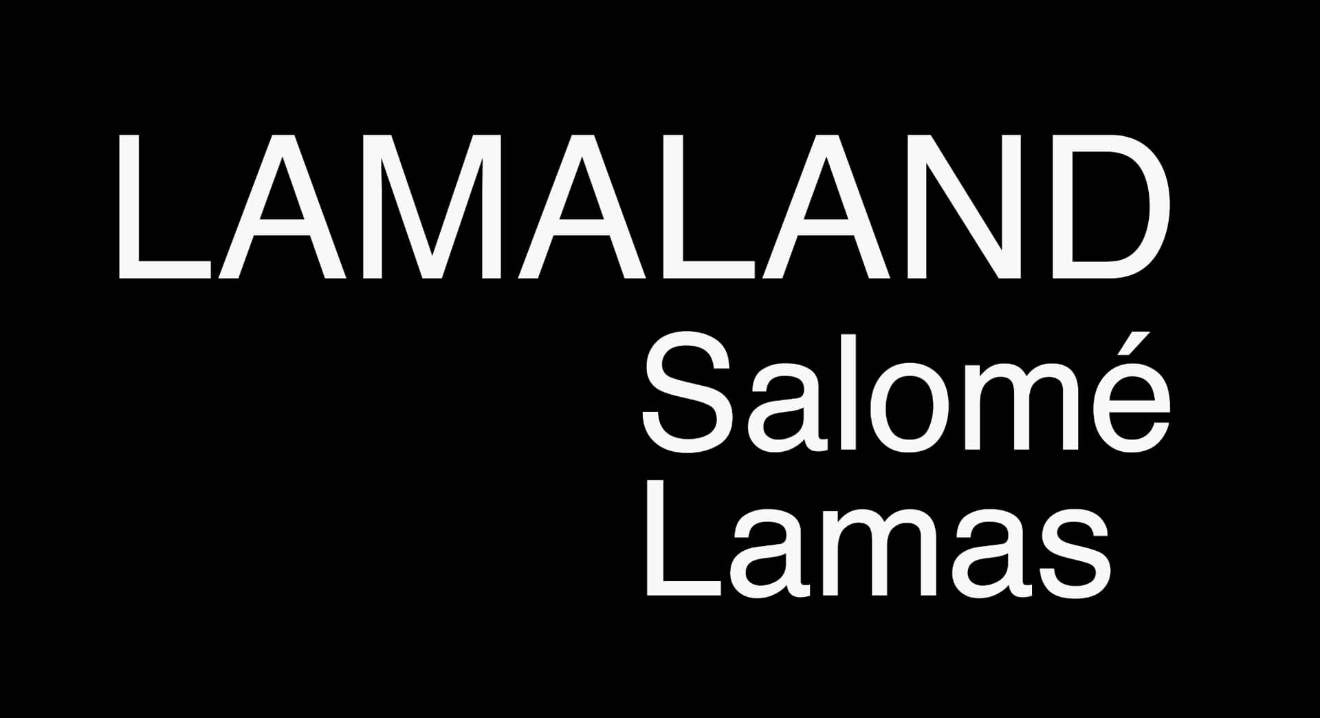 2010/12 – VHS: Video Home System [sample 3] on Vimeo