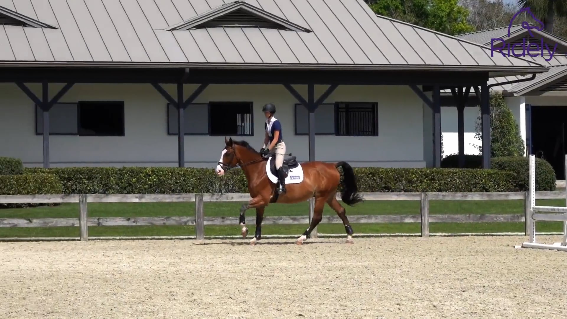 Rideability and Striding | Ridely