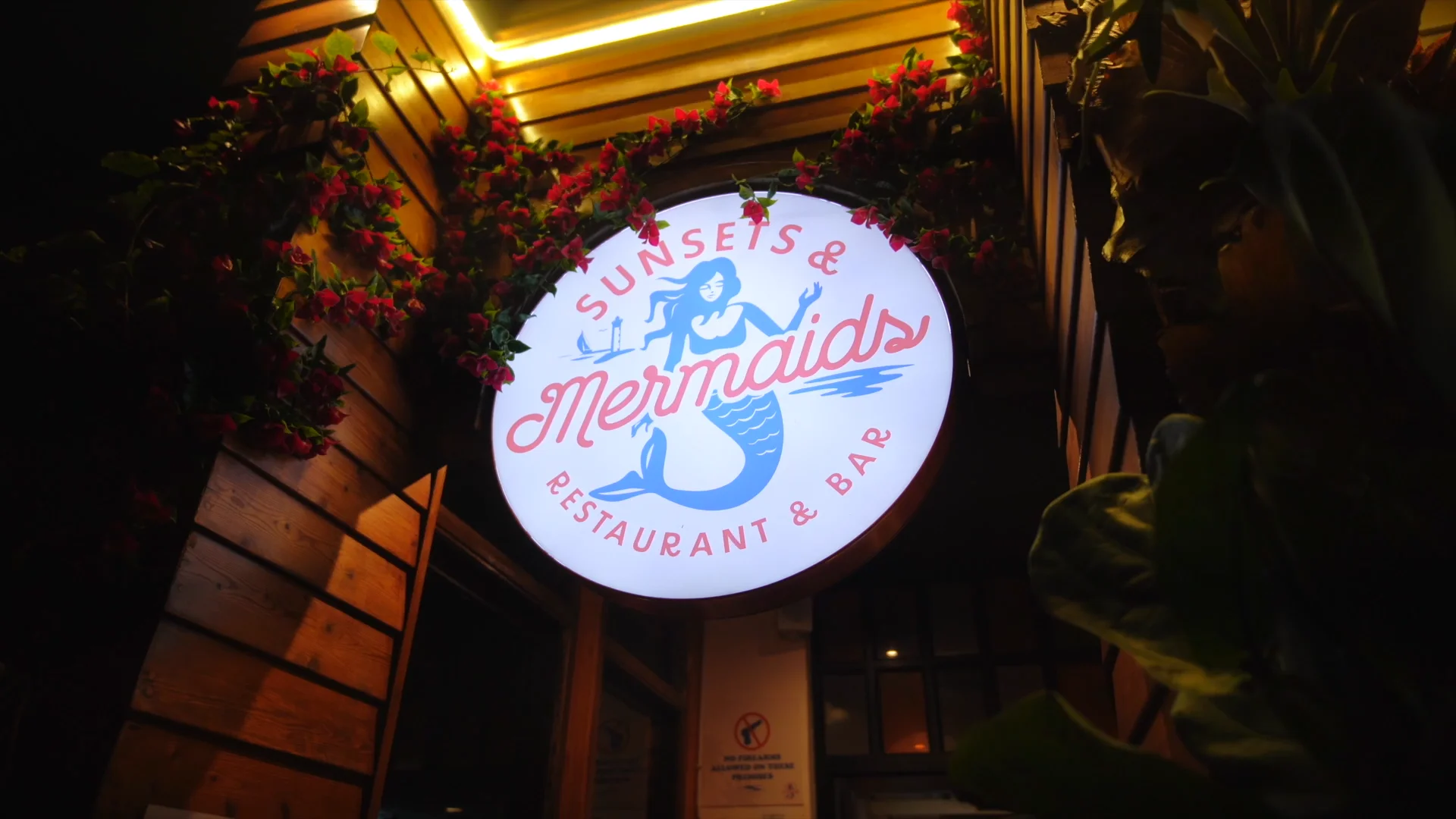 Mermaids