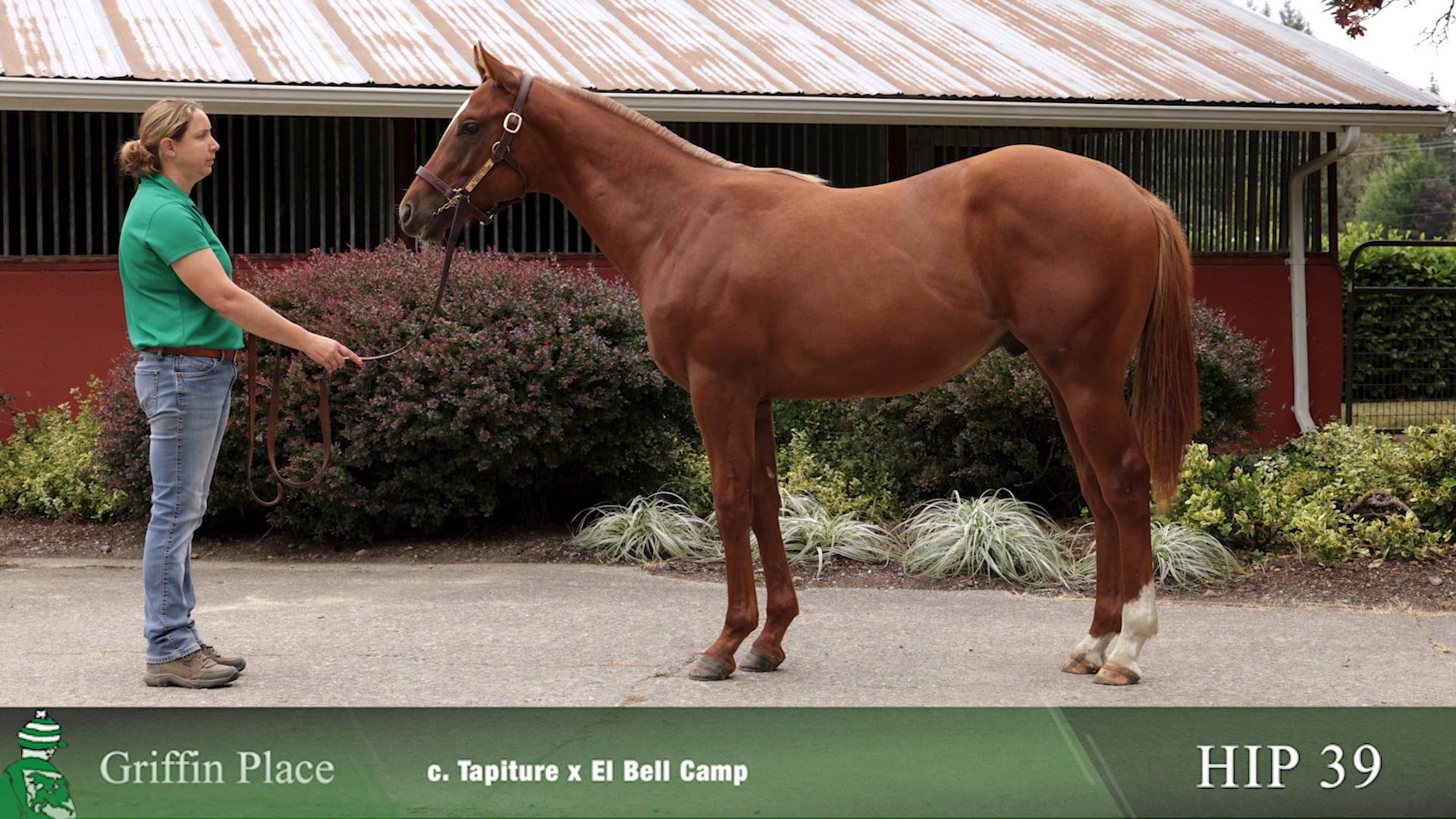 Hip 39 - c. Tapiture x El Bell Camp on Vimeo