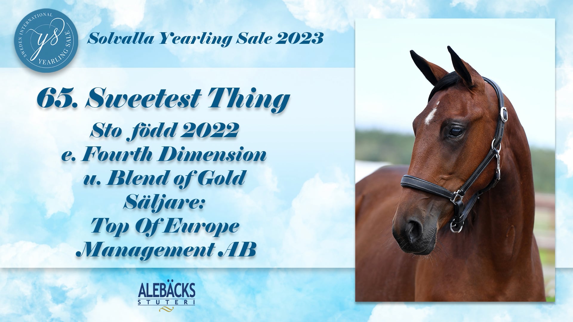 65. Sweetest Thing on Vimeo